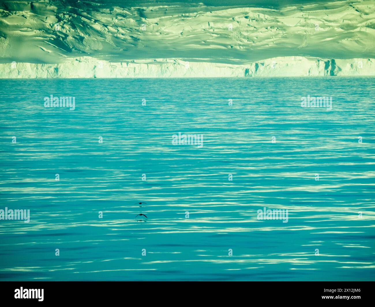 Cliffs of Trinity Island from Orleans Strait, Antarctica Stock Photo ...