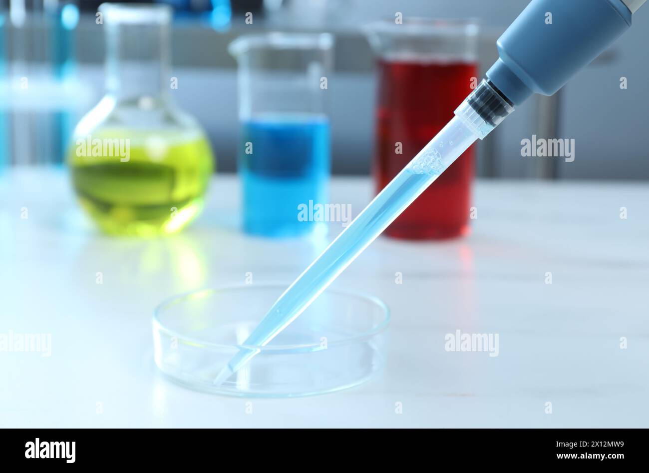 Laboratory analysis. Micropipette with liquid and petri dish on white ...