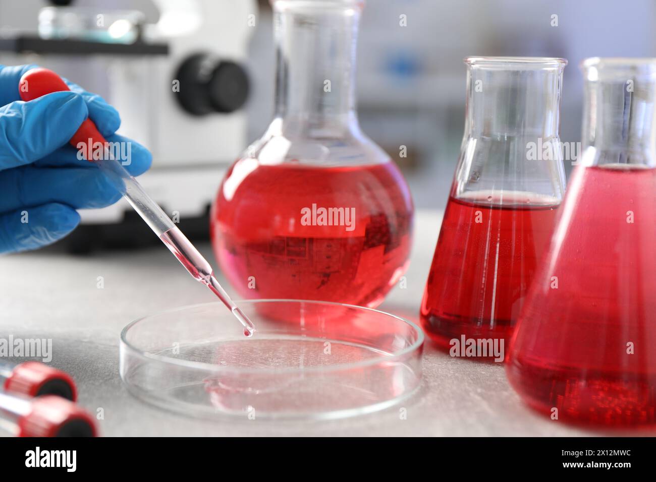 Laboratory analysis. Dripping red liquid into Petri dish on light grey ...