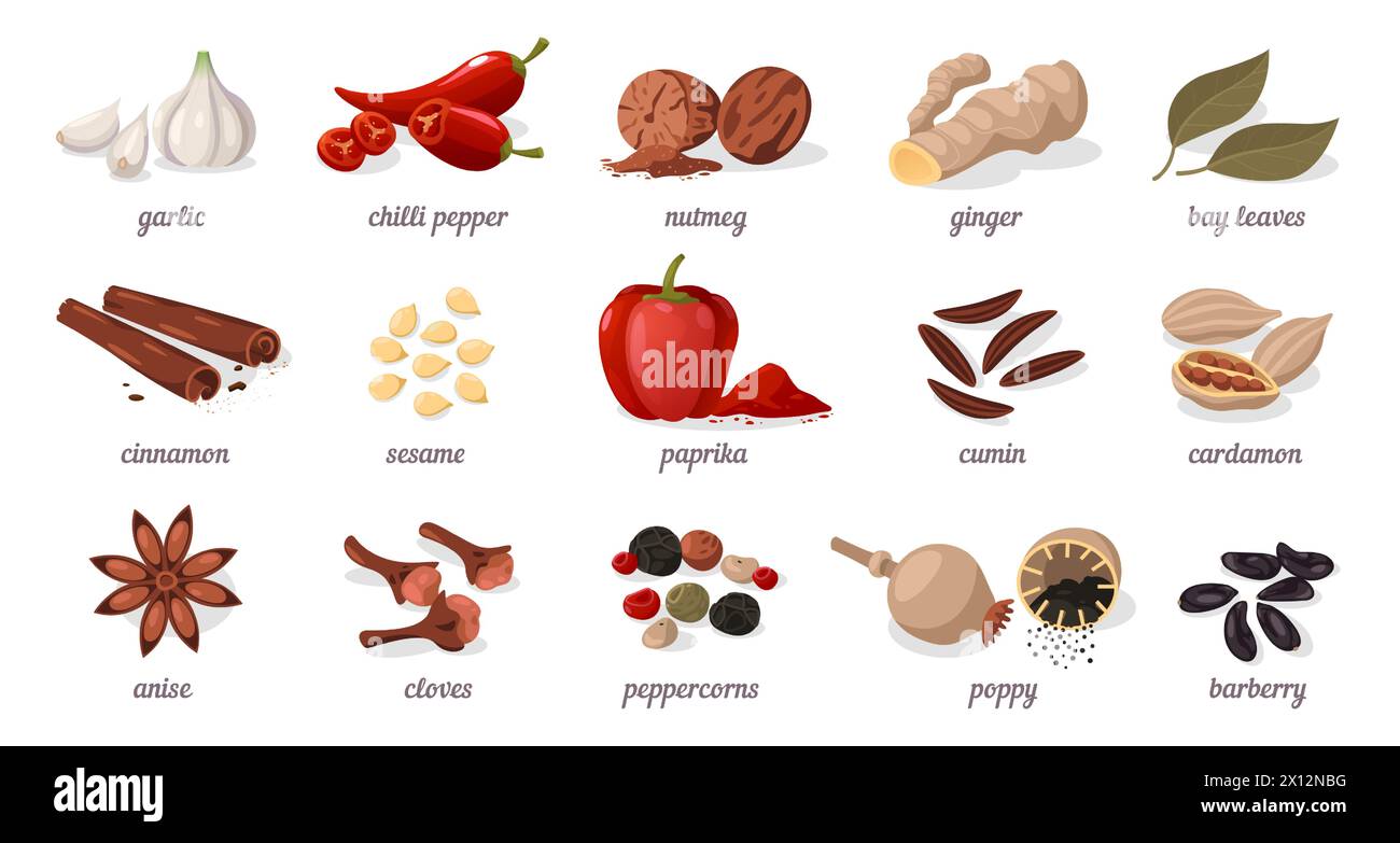 Cartoon spices. Flat dry herbs and condiments for cooking, different ...