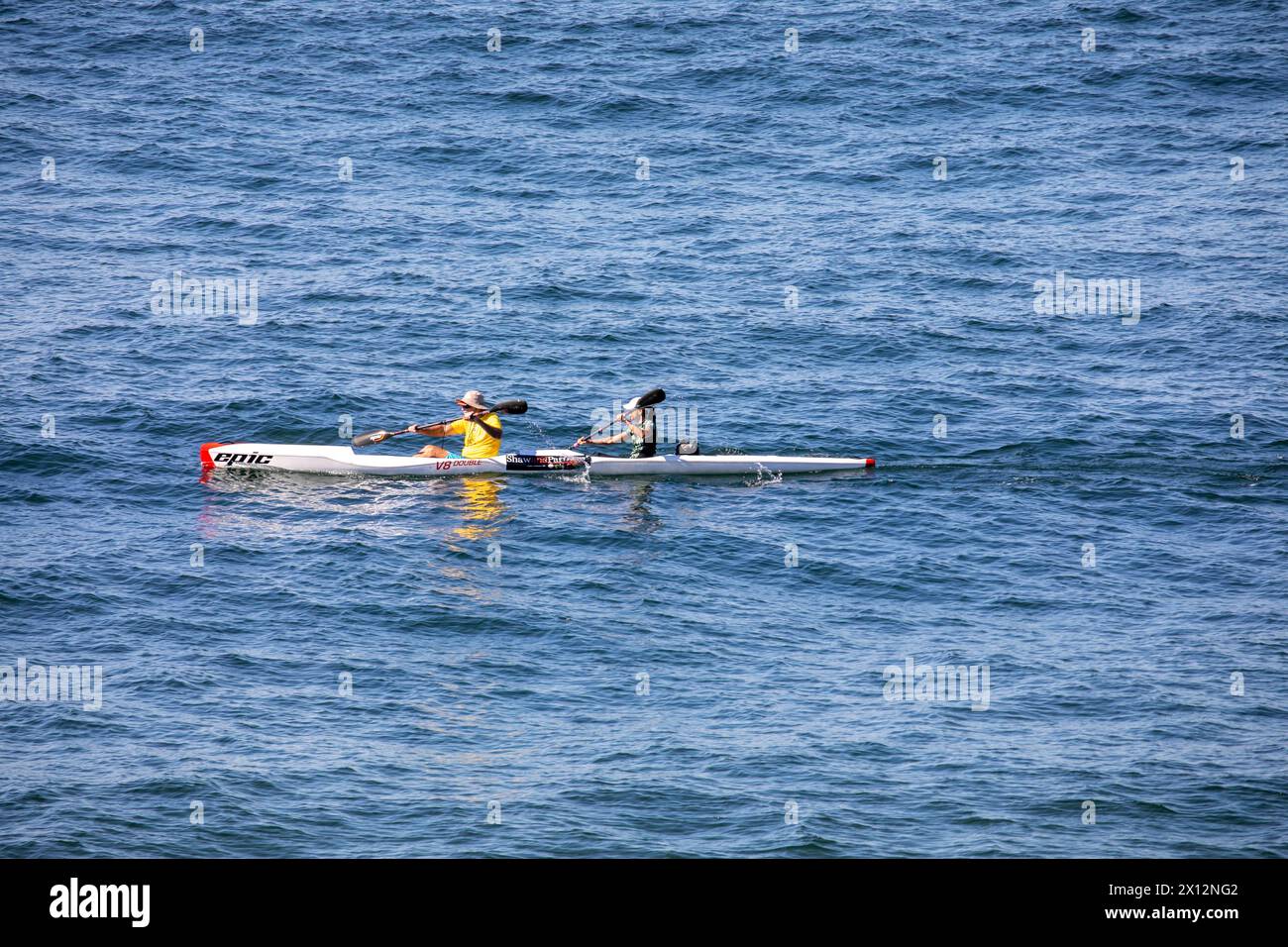 Sydney Harbour, couple kayak in an Epic made double twin kayak across ...