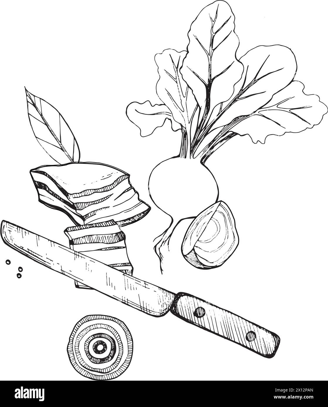 Illustration Vector Composition Lard A Piece Of Lard A Bay Leaf Beets Peppercorns