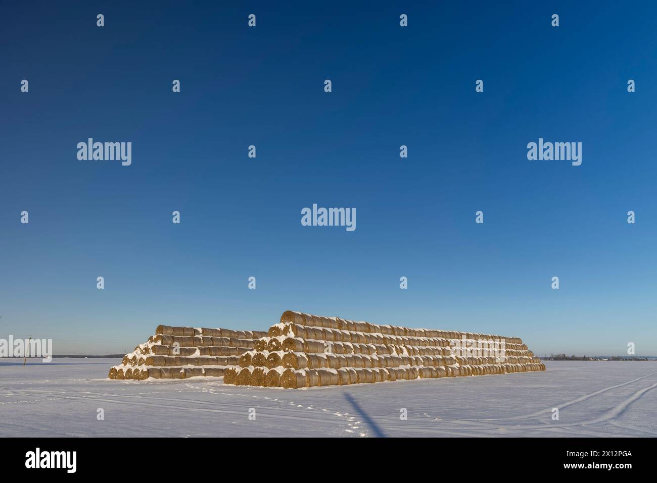 snow-covered straw stacks , winter landscape with straw in stacks after ...