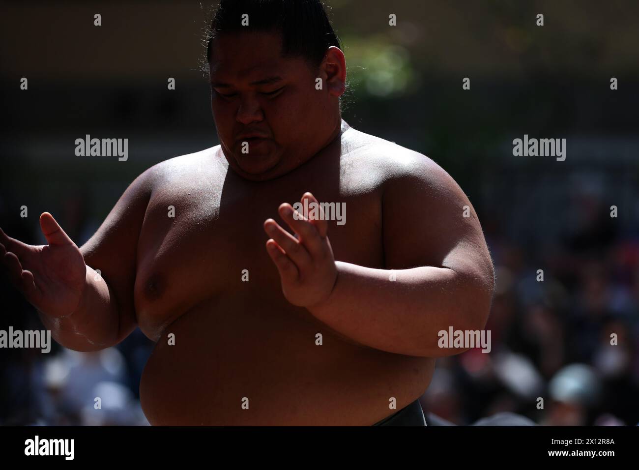 Tokyo Japan. 15th Apr, 2024. General view, APRIL 15, 2024 - Sumo ...