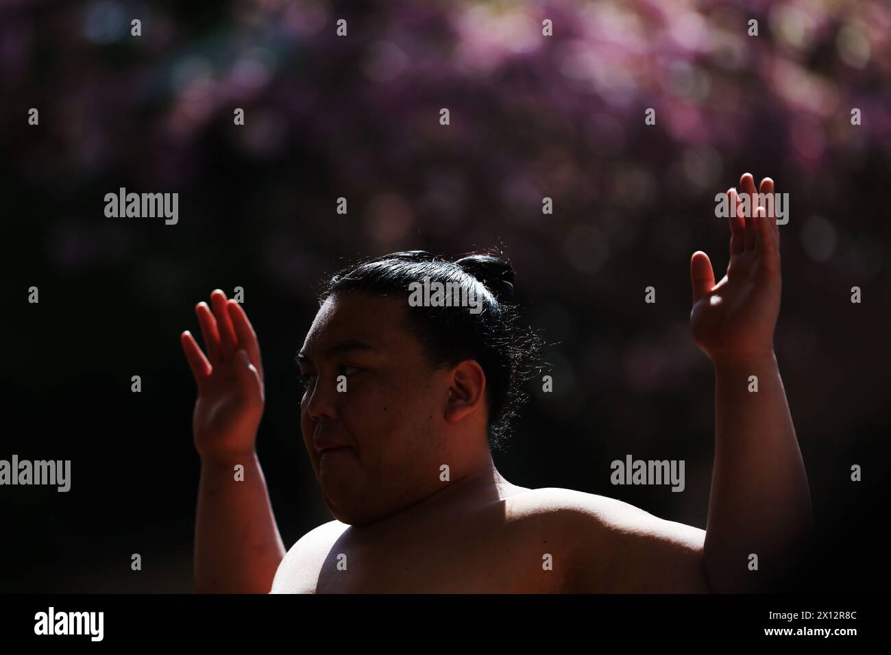 Tokyo Japan. 15th Apr, 2024. General view, APRIL 15, 2024 - Sumo ...