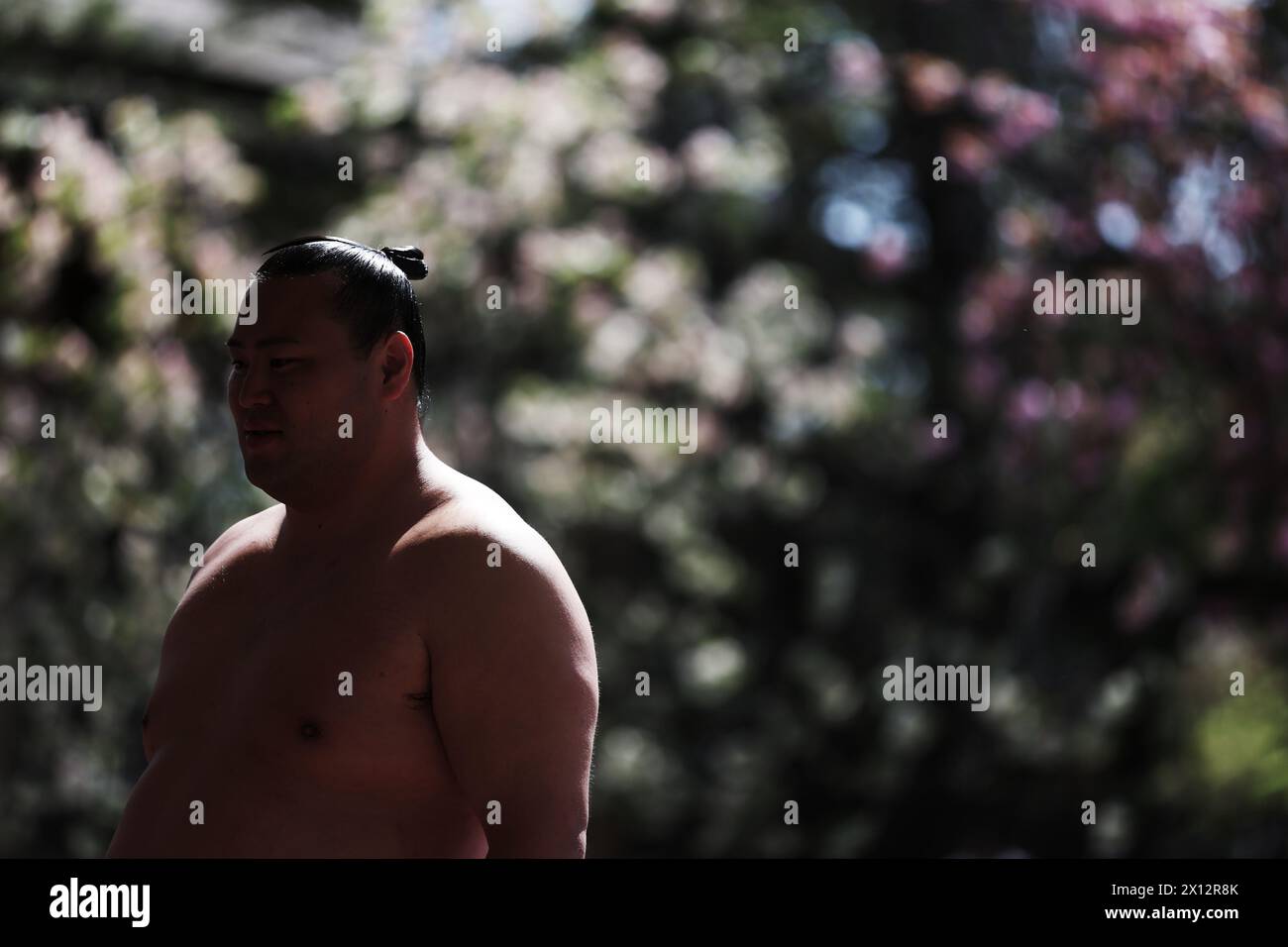 Tokyo Japan. 15th Apr, 2024. General view, APRIL 15, 2024 - Sumo ...
