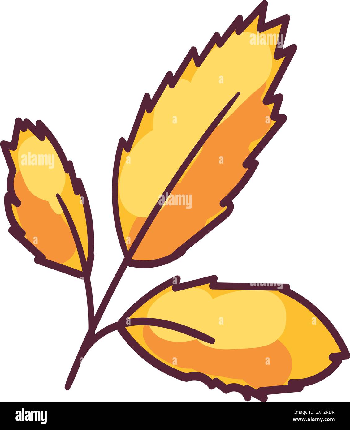 Autumn ash tree leaf foliage stroked illustration. Tree leaf, herbarium ...