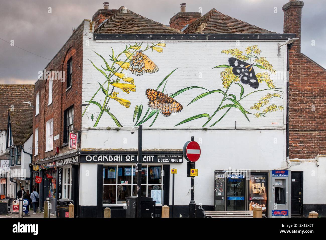 Street,Wall,Mural,Street Art,by,Mark Anthony,Depicting,Endangered ...