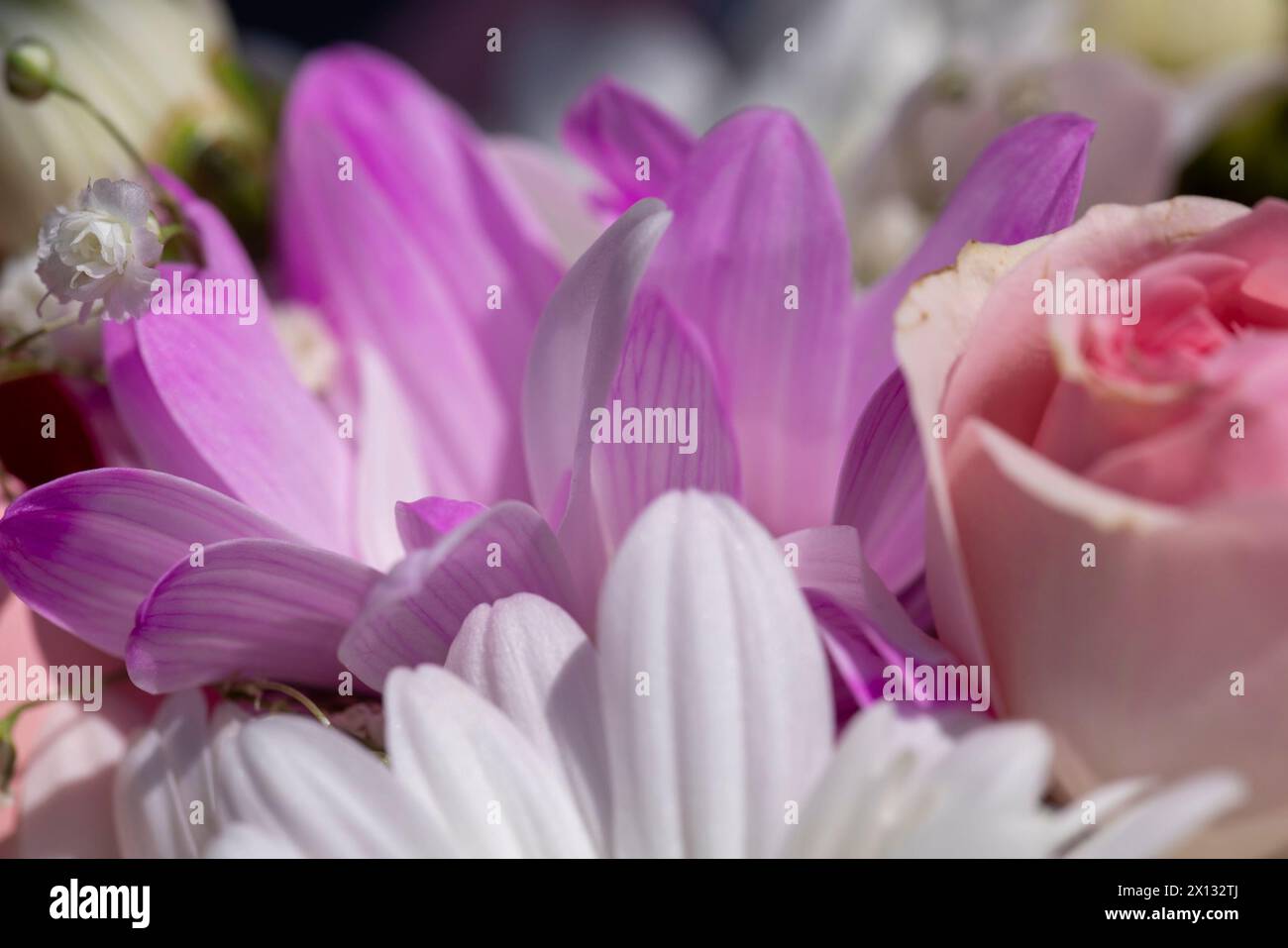 a beautiful bouquet combined with different flowers, a festive bouquet ...