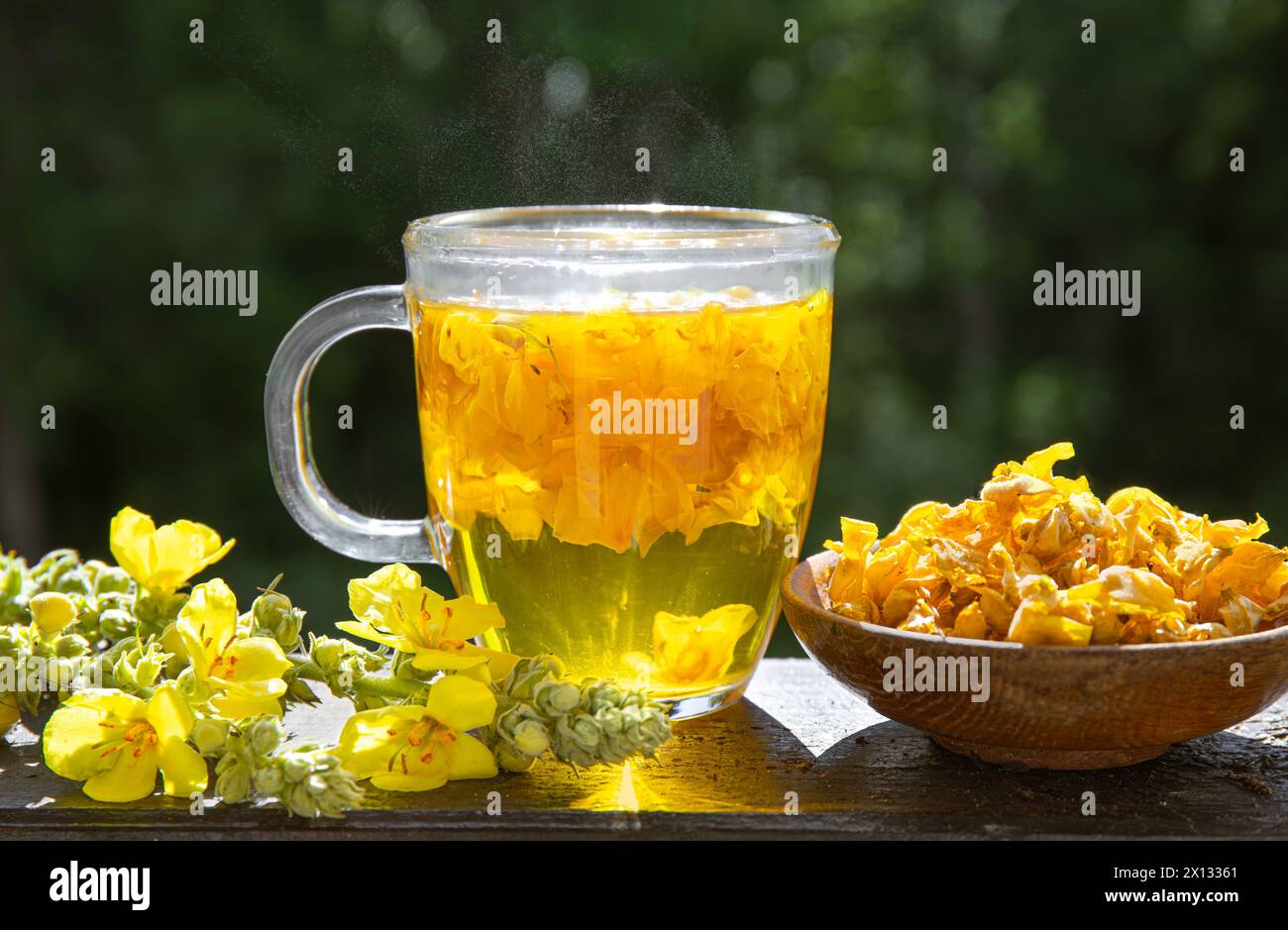 Herbal medicinal tea drink made of Verbascum thapsus, the great mullein ...