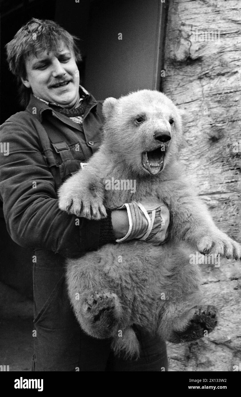 Offspring in Vienna's zoo Schoenbrunn on March 2nd 1989: A stockman ...