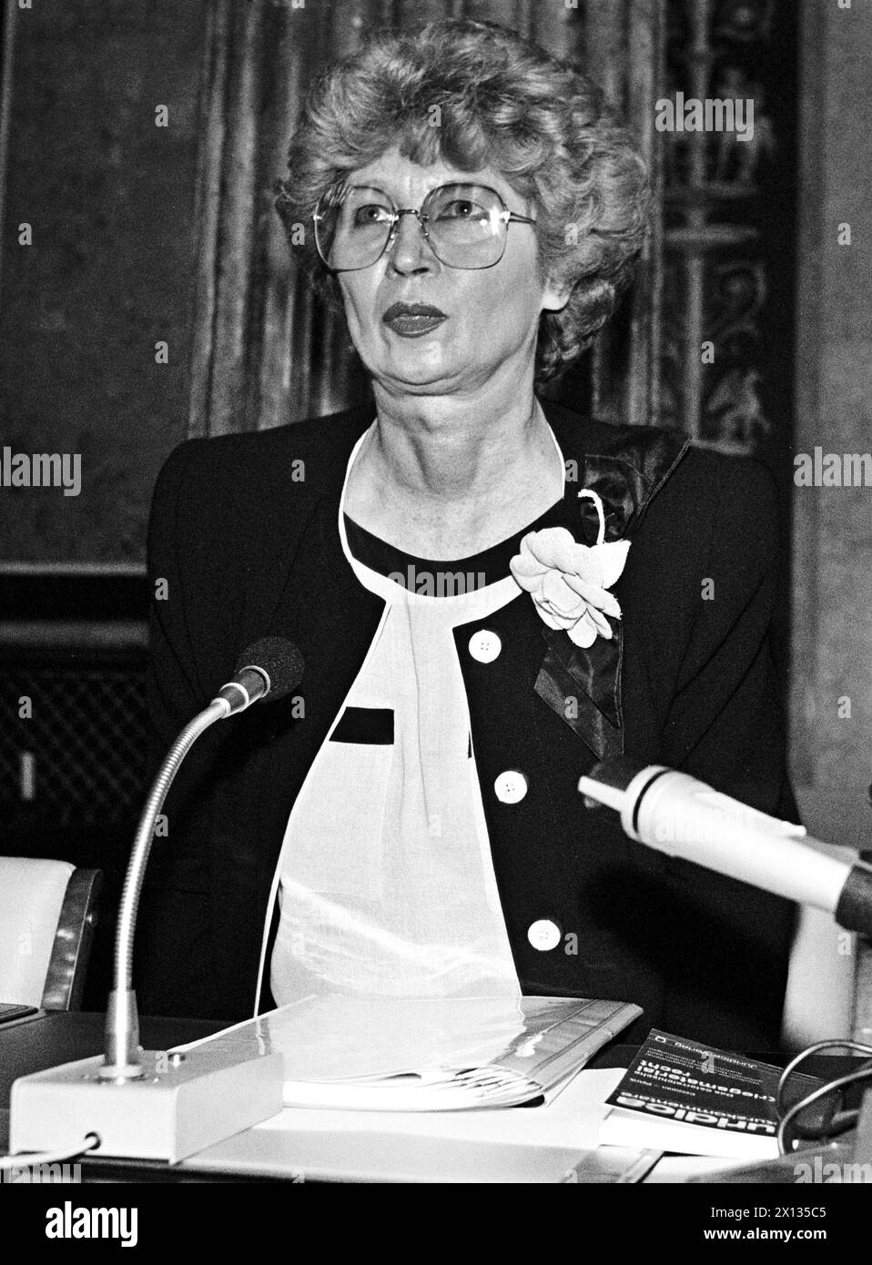 Meeting of the Noricum-investigation committee in Vienna on February ...