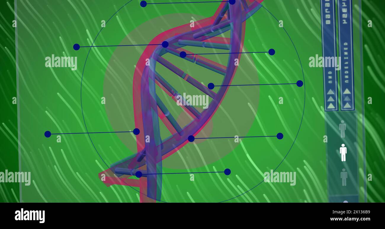Image of dna strand over light trails on green background Stock Photo ...