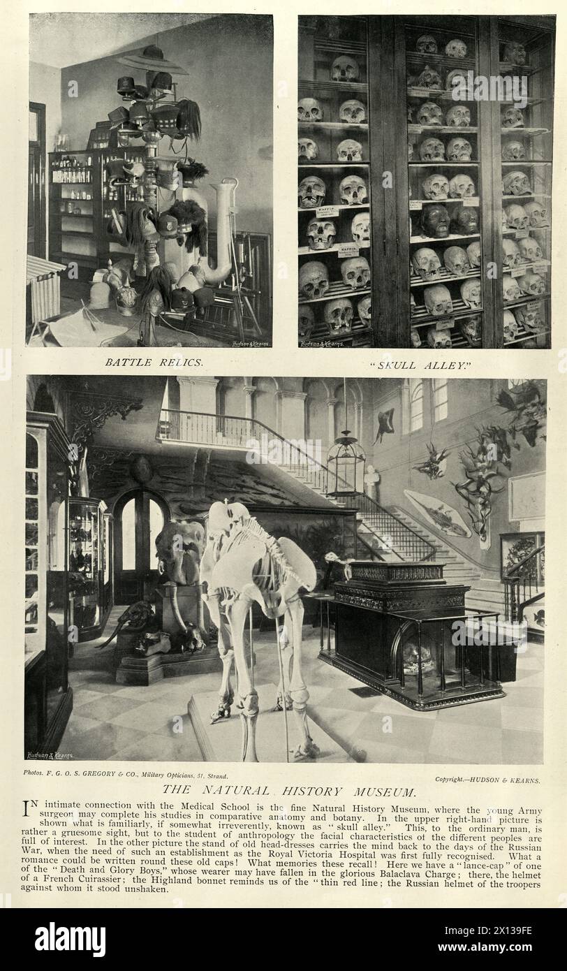 Vintage picture Natural history museum of Royal Victoria Hospital or ...