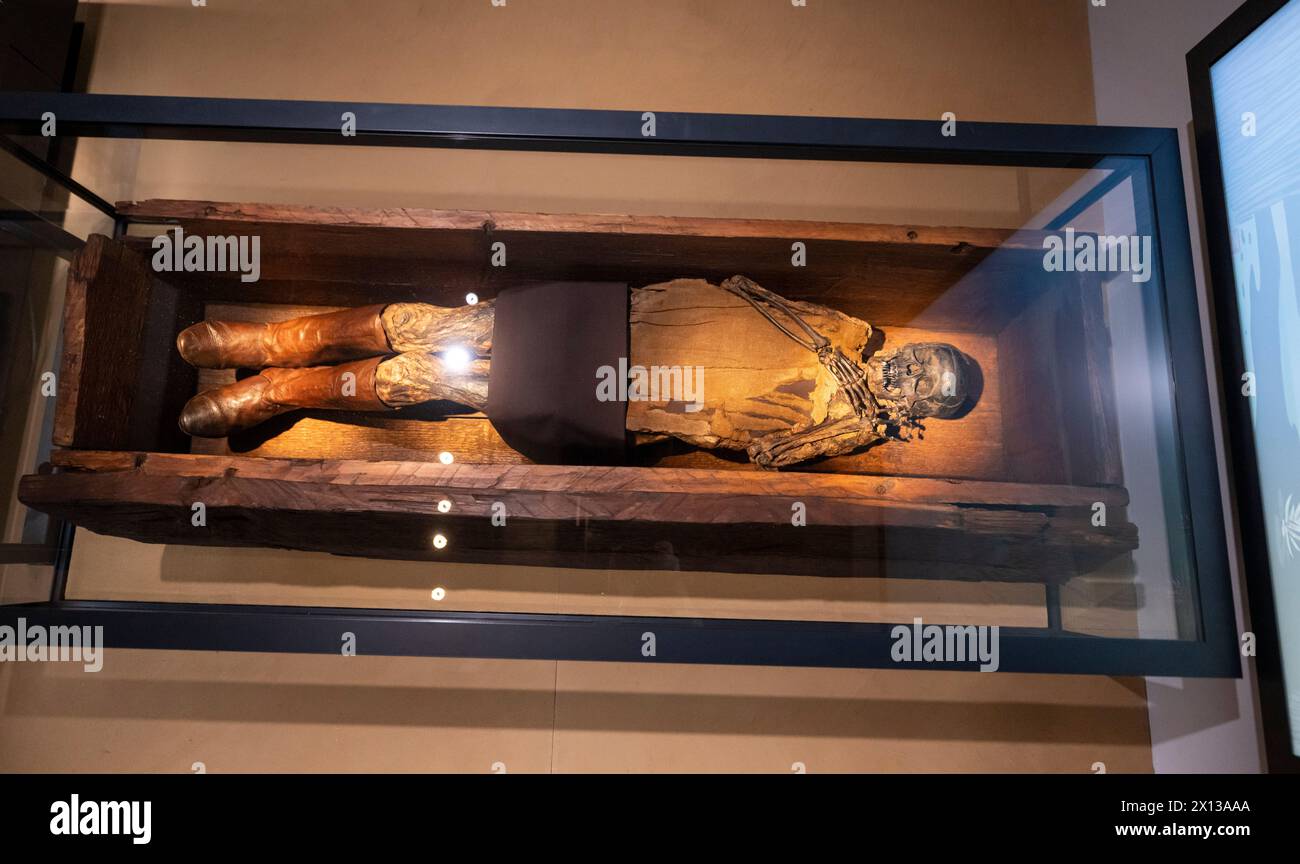 Munich, Germany. 15th Apr, 2024. A female bog body lies behind glass in ...