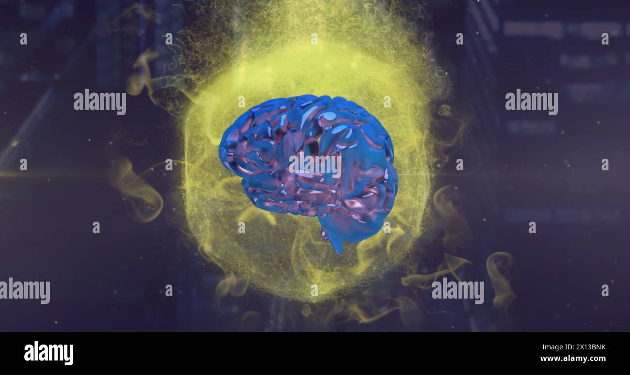 Globe brain hi-res stock photography and images - Alamy