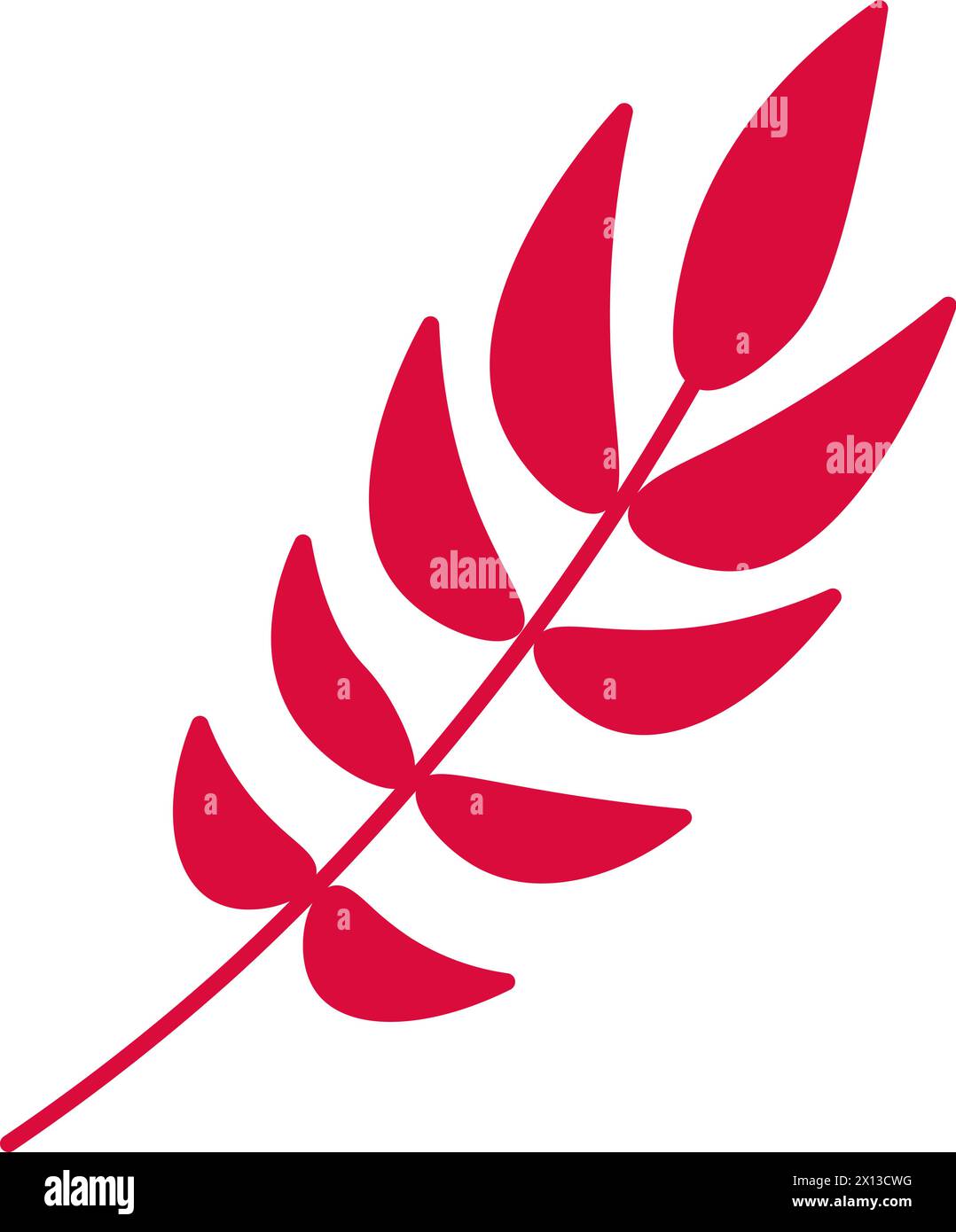 Tree branch leafage contour, herbarium silhouette. Bright autumn leaves ...