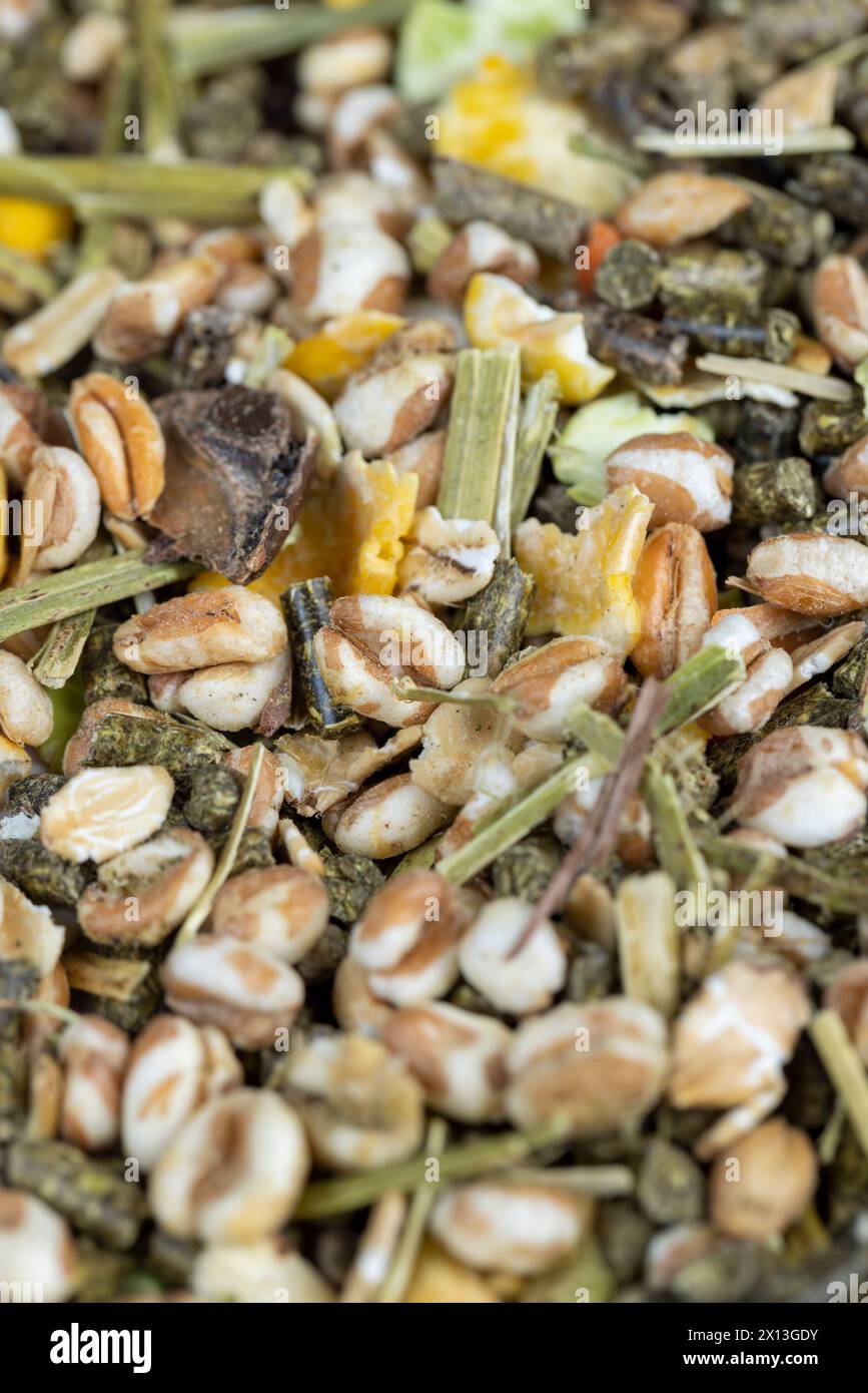 mixed cereals, grass, grain, corn for animals, combined pet food for ...