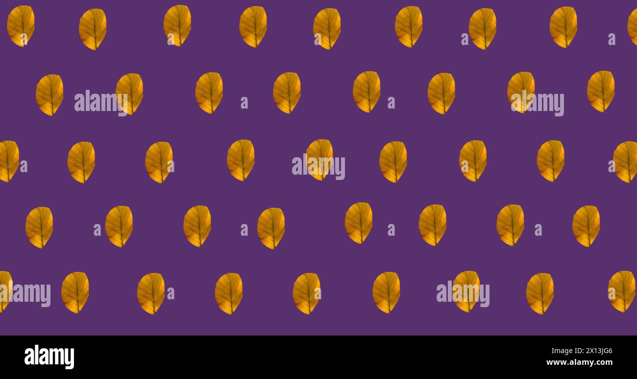 Digital animation multiple autumn leaves hi-res stock photography and ...