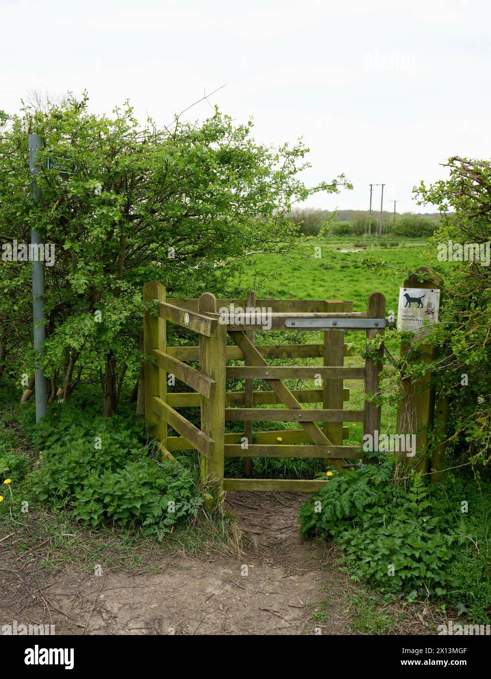 Traditional stile gate through farmland on a public footpath Stock ...