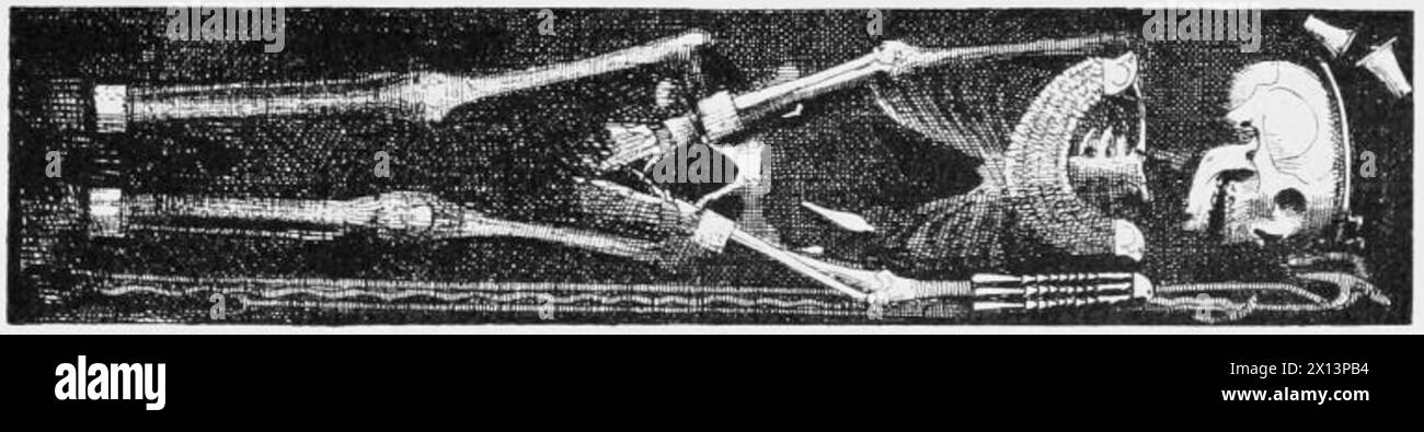 Drawing of the mummified skeleton Stock Photo - Alamy