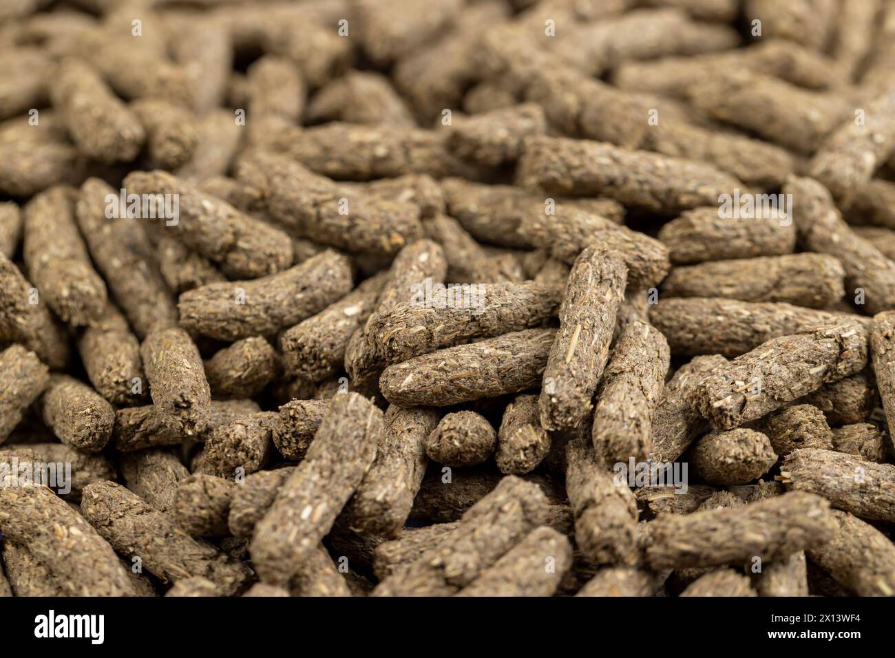 combined food for rodent pets, combined healthy food for rodent ...