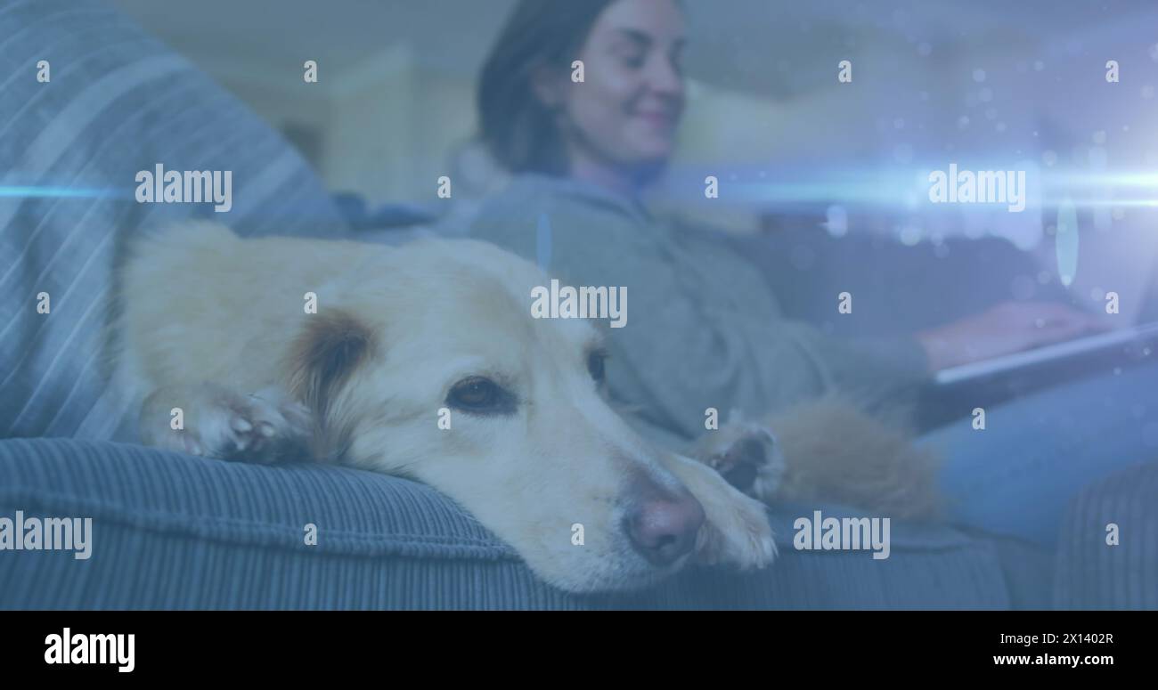 Blue light trails against caucasian woman using laptop while dog ...