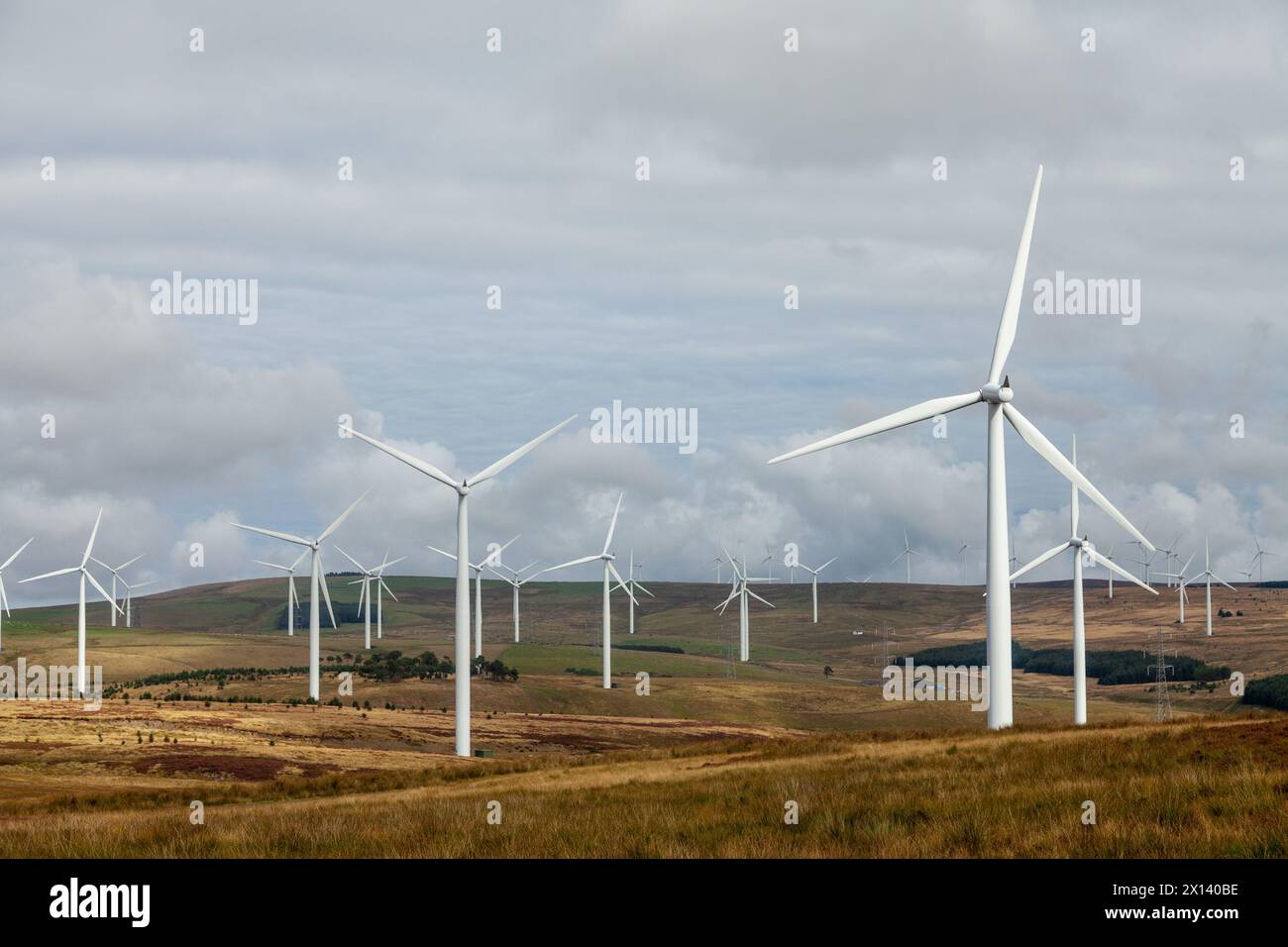 Crystal Rig Wind Farm is an onshore wind farm located on the Lammermuir ...