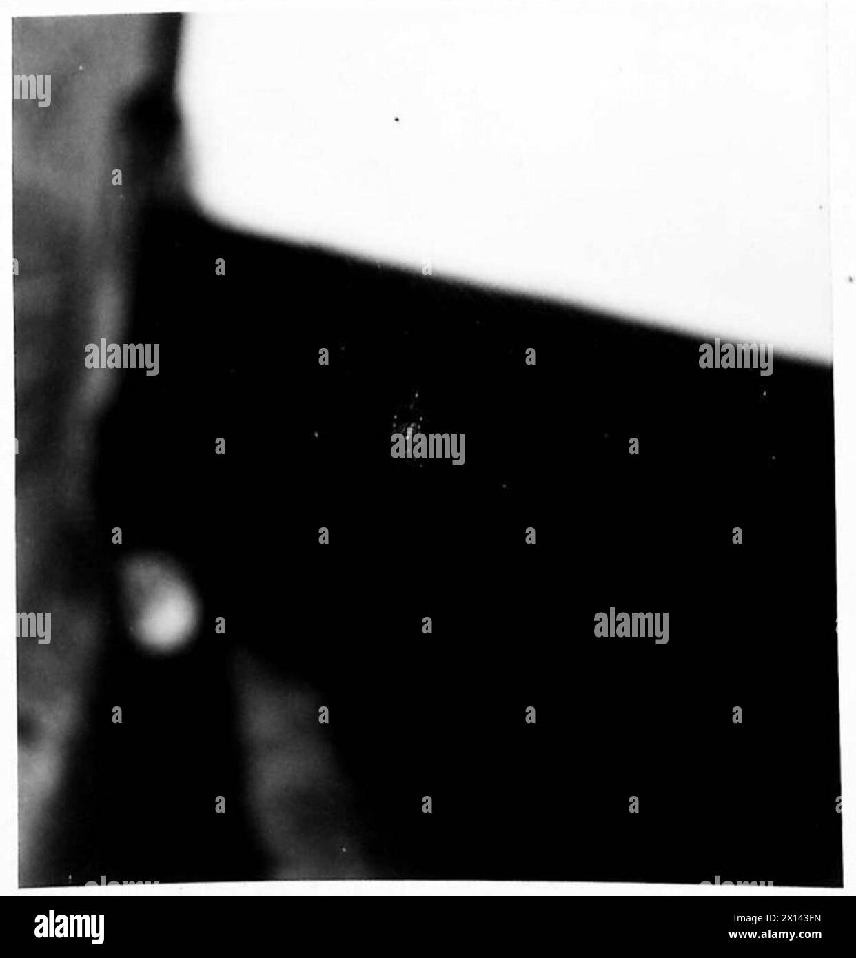 SPIDERS WEB IN USE BY THE ARMY - Spider on web before catching British ...