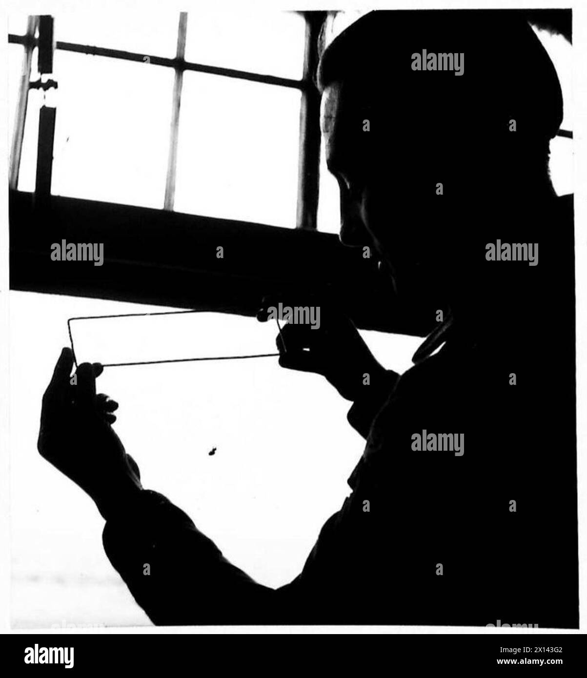 SPIDERS WEB IN USE BY THE ARMY - A web is wound on to a frame. The ...