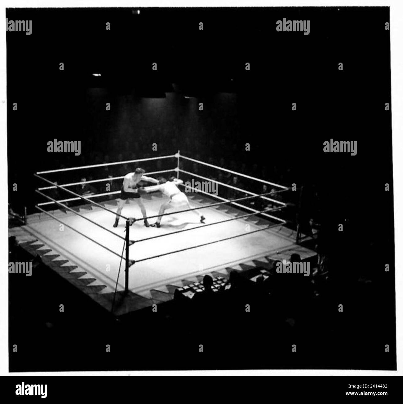 Championships british Cut Out Stock Images & Pictures - Alamy
