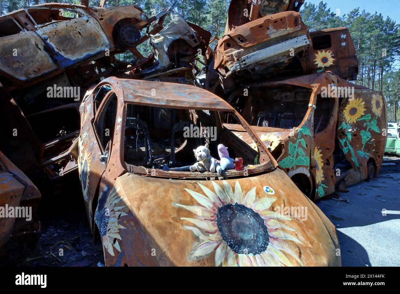 Non Exclusive: IRPIN, UKRAINE - APRIL 12, 2024 - The graveyard of cars ...