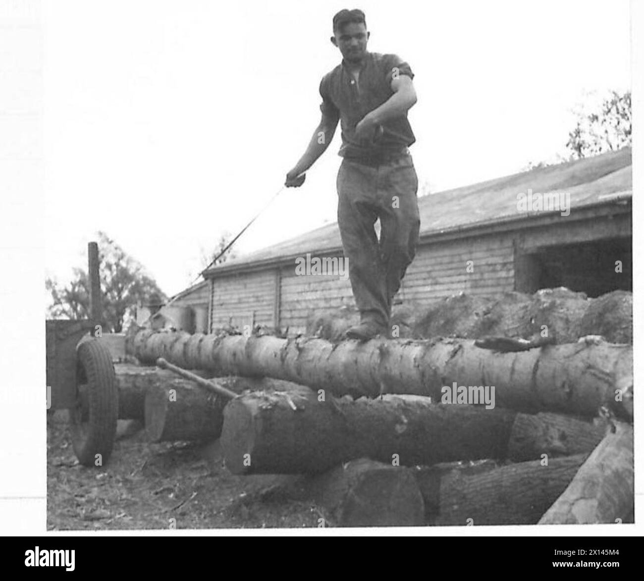 Wood preparation techniques Black and White Stock Photos & Images - Alamy