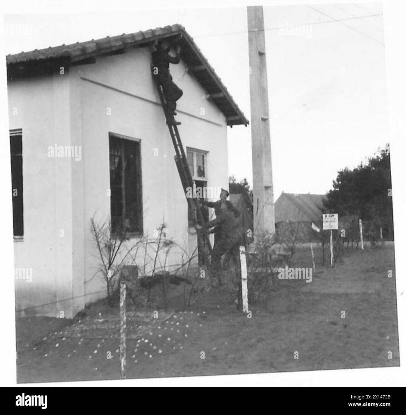 Royal Engineers repair overhead power lines during British Army ...