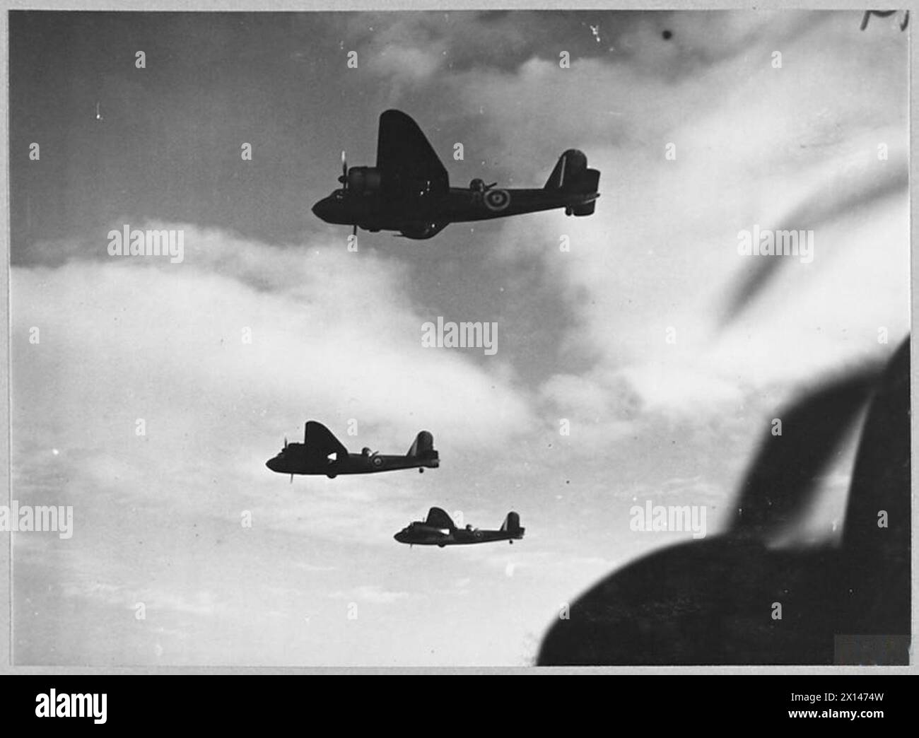 Perseus flies hi-res stock photography and images - Alamy