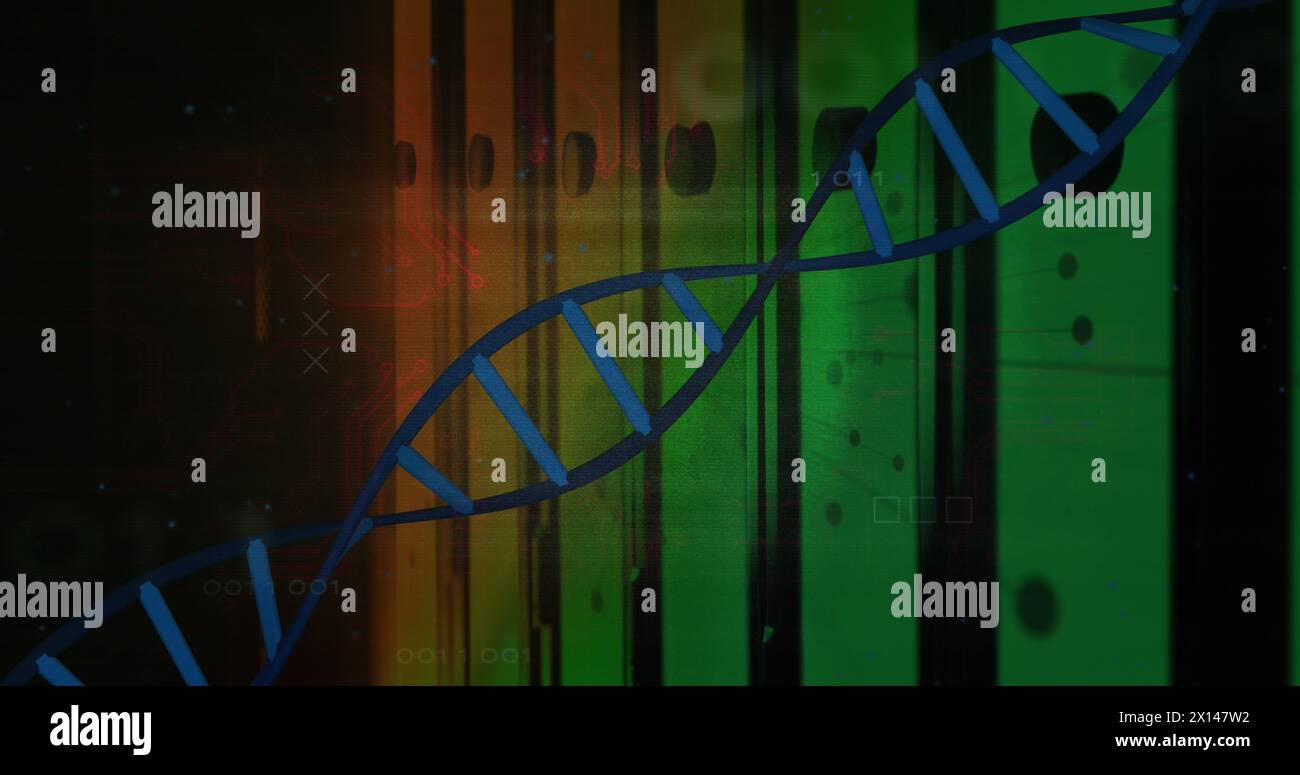 Image of dna strand and data processing over computer servers Stock ...