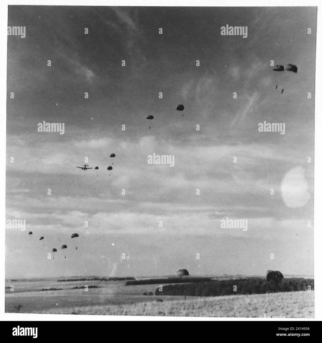 We witnessed Cut Out Stock Images & Pictures - Alamy