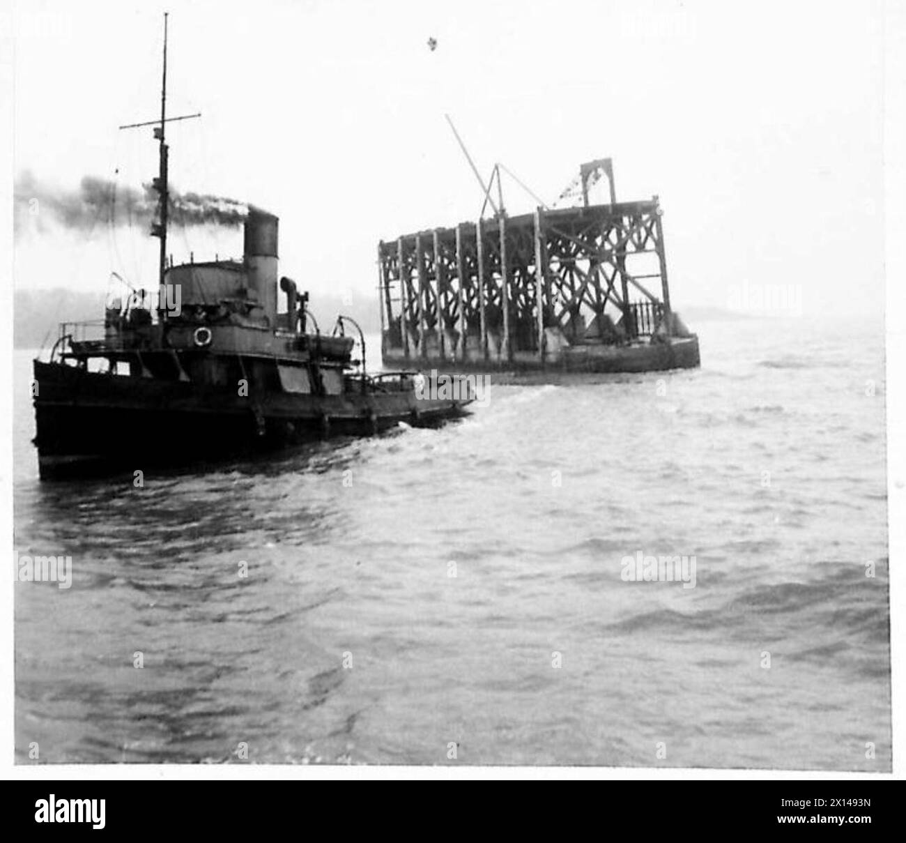 Being the the hippo Black and White Stock Photos & Images - Alamy