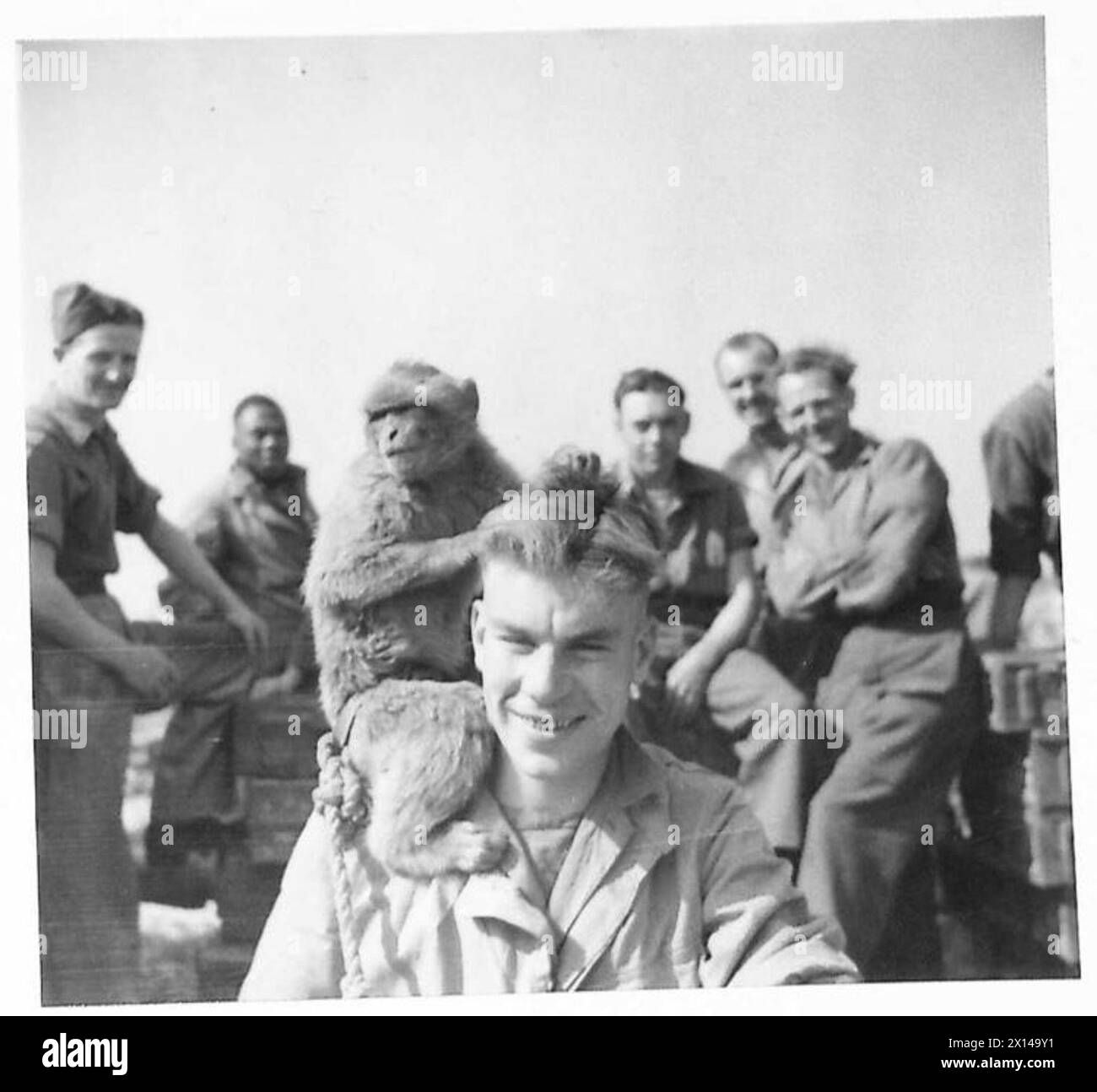 EIGHTH ARMY : BASUTO GUNNERS - "Charlie" the battery monkey, who came ...