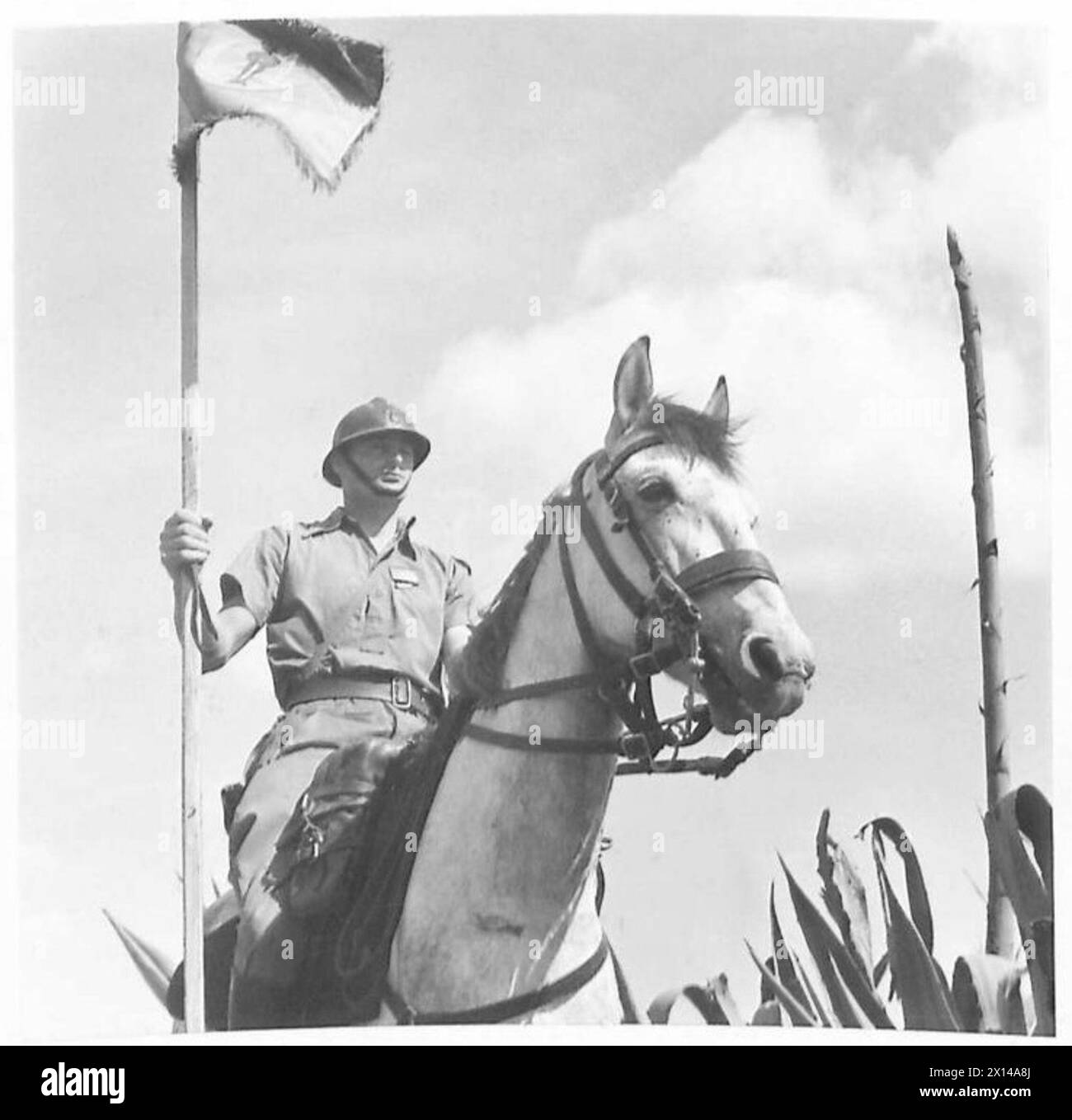 THE CHASSEURS D'AFRIQUE - A steel-helmeted Chasseur with the Regimental ...