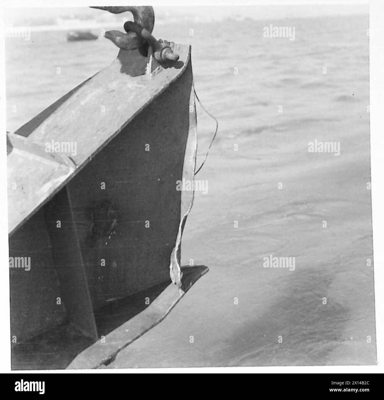 SPECIAL ASSIGNMENT FOR TN. 5 - Series of photographs showing Whale ...