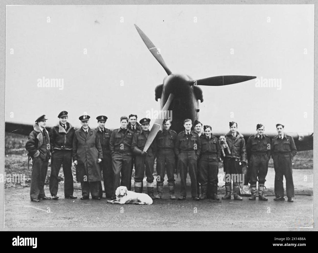 NEWFOUNDLAND SQUADRON OF THE ROYAL AIR FORCE - Officers of the squadron ...