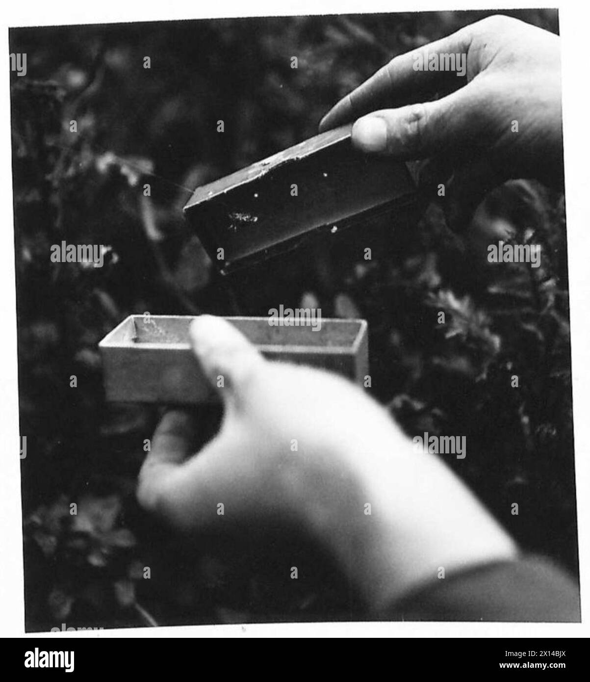 SPIDERS WEB IN USE BY THE ARMY - Placing of spider in box. Spiders are ...