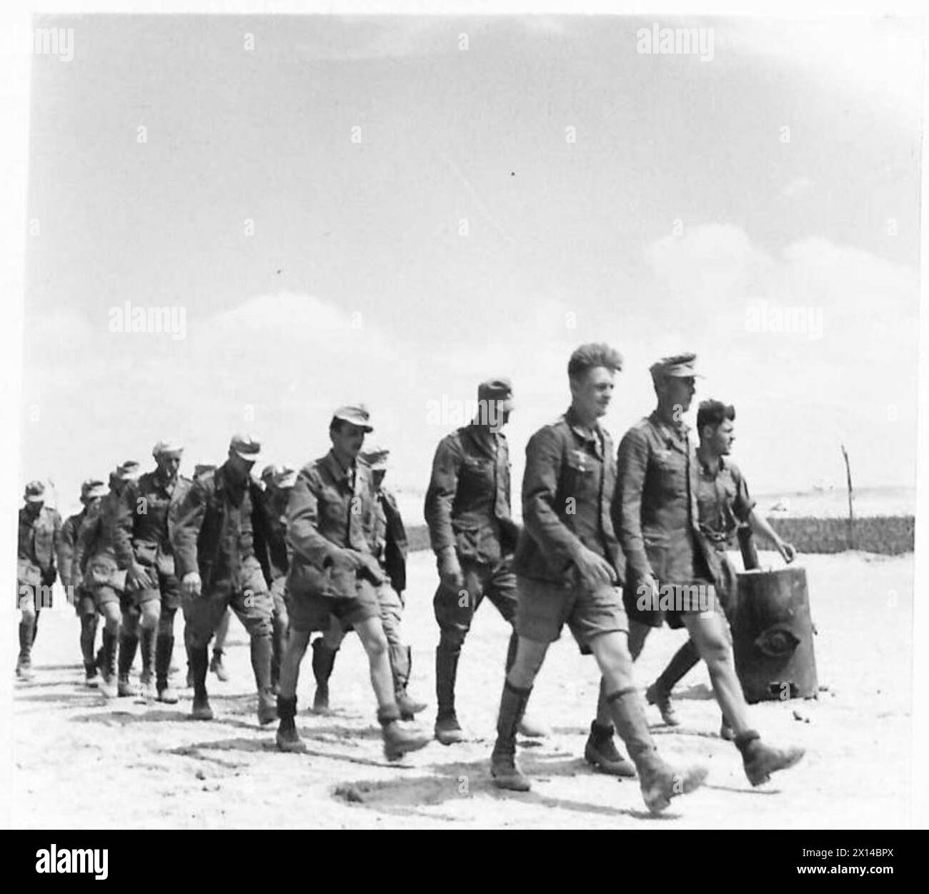 GERMAN PRISONERS IN THE WESTERN DESERT - German prisoners arriving at a ...