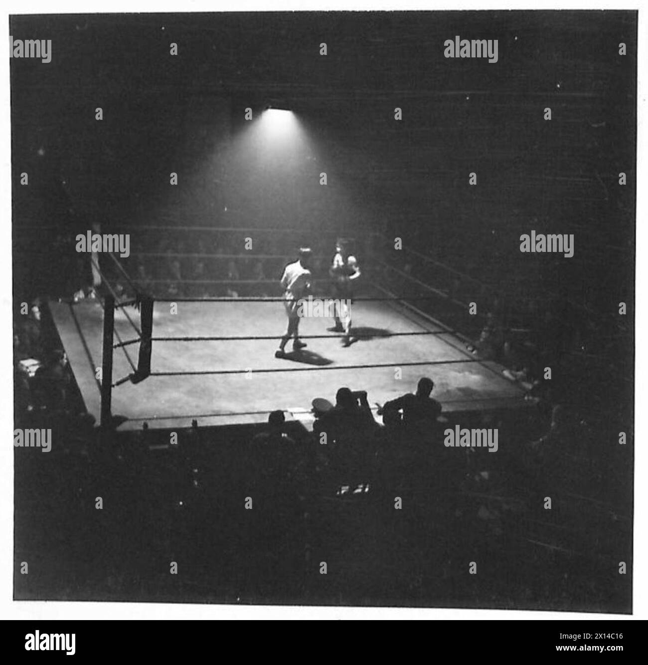 Two men boxing in ring Cut Out Stock Images & Pictures - Alamy