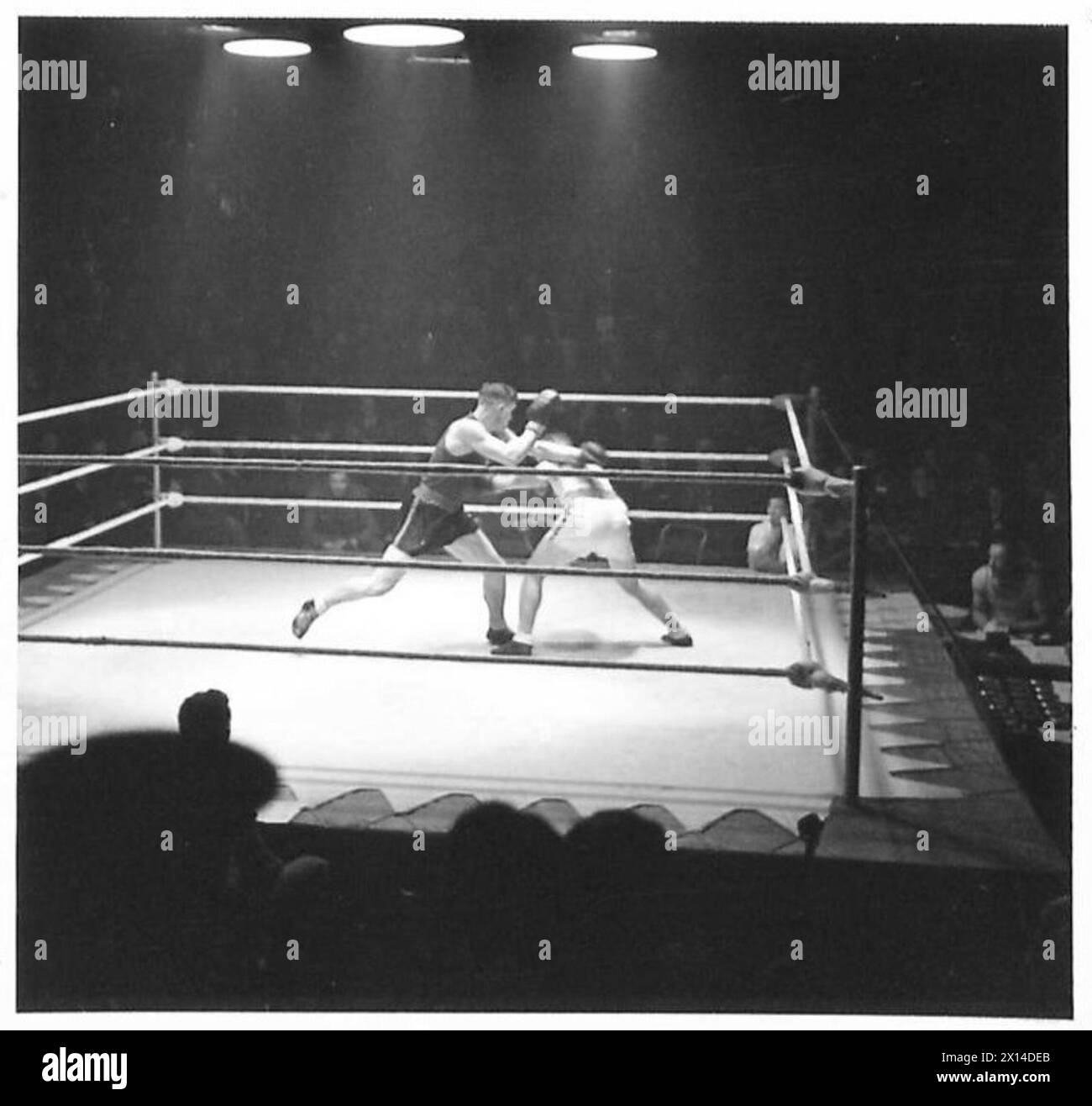 Amateur final Cut Out Stock Images & Pictures - Alamy