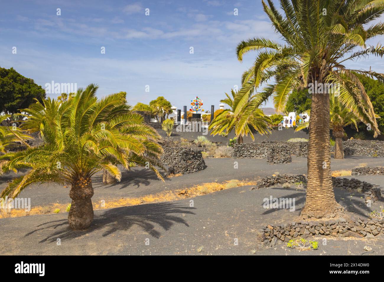 Garden in César Manrique Foundation. It is located in the unique home ...