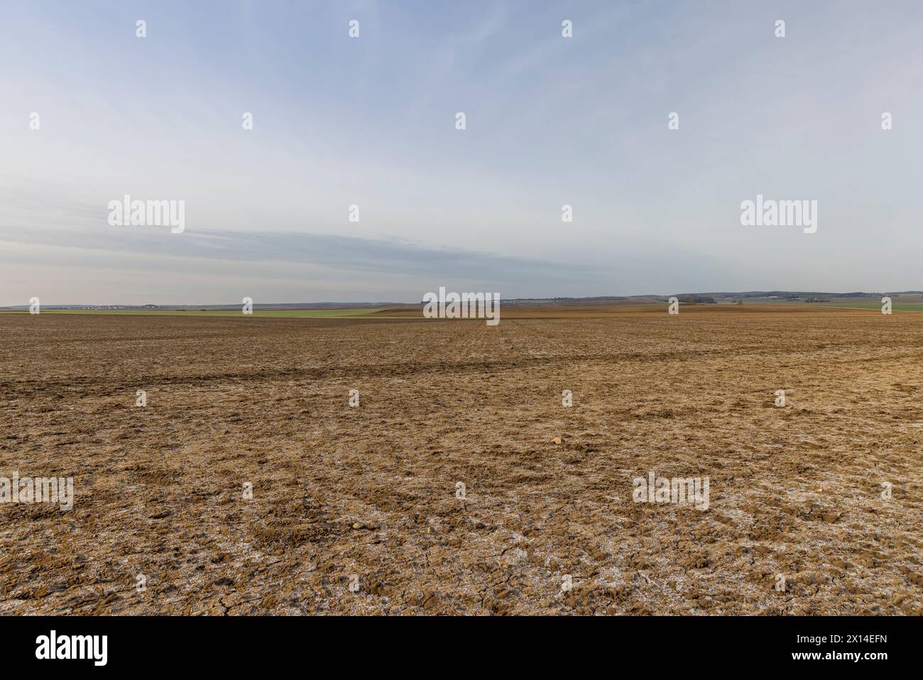 Plants that do without soil hi-res stock photography and images - Alamy