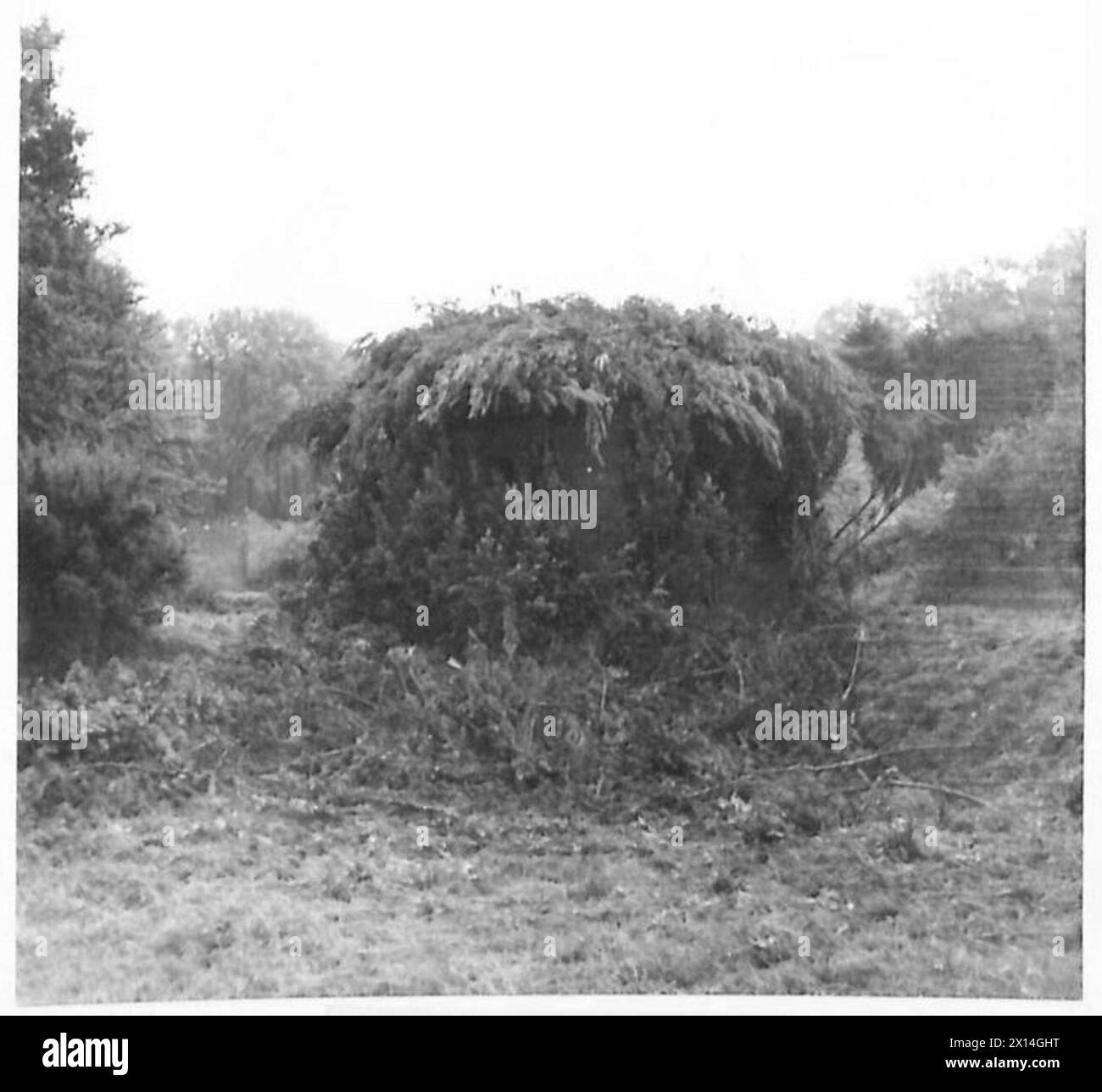 CAMOUFLAGED STRONG POINTS - Octagonal pillbox; brushwood placed on top ...