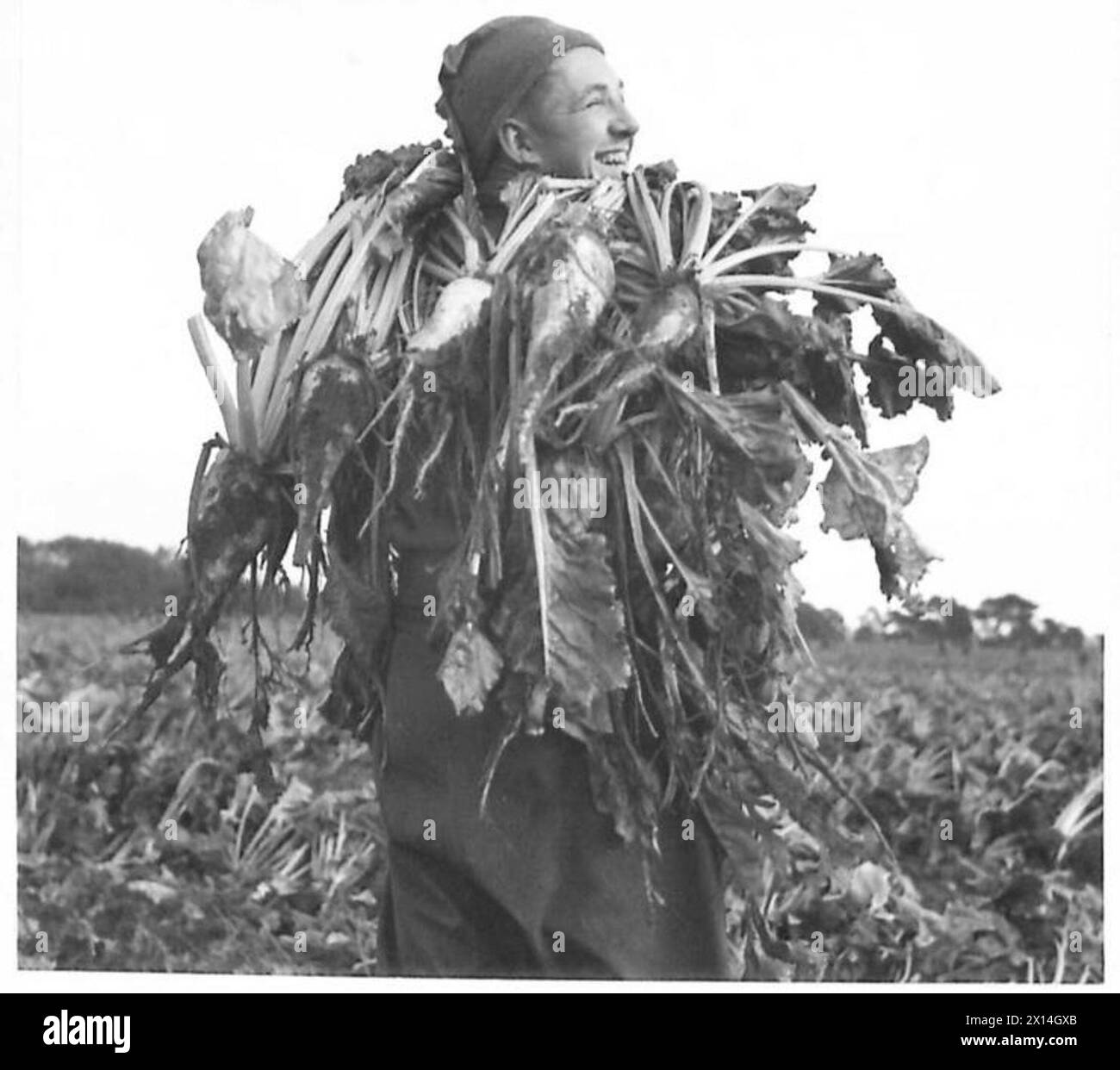 Gather crops in Black and White Stock Photos & Images - Alamy